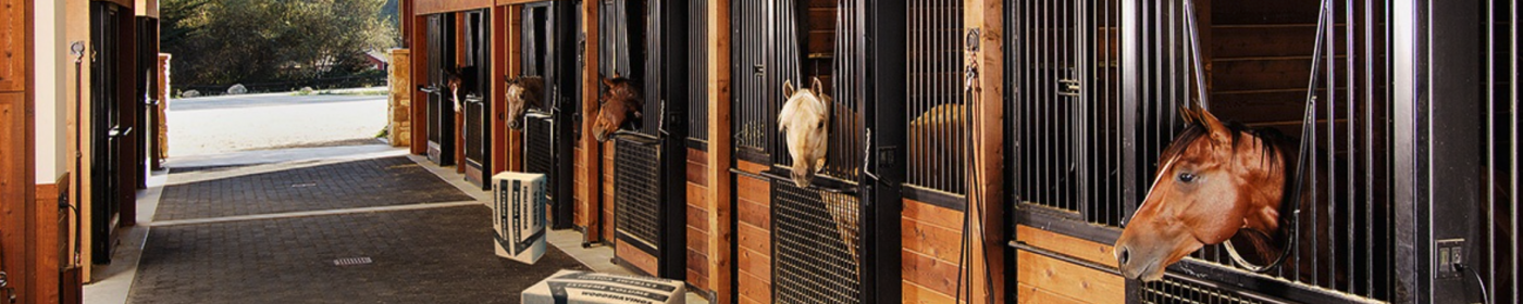 Classic Small Flake Shavings: Comfort of Horse Bedding